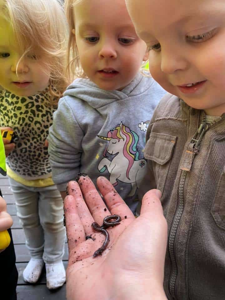 Wondering about Worms - Guardian Childcare & Education