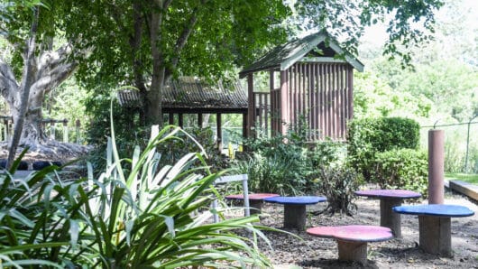 Guardian Fig Tree Pocket Childcare: Best Daycare ELC Near Kenmore